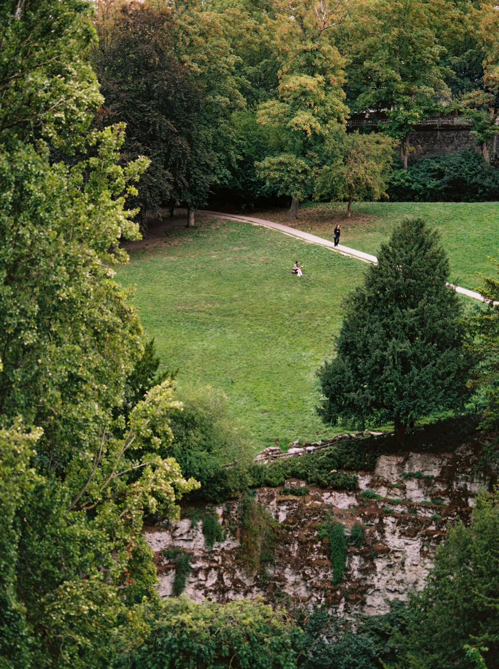 Diary Entry – Neighbour