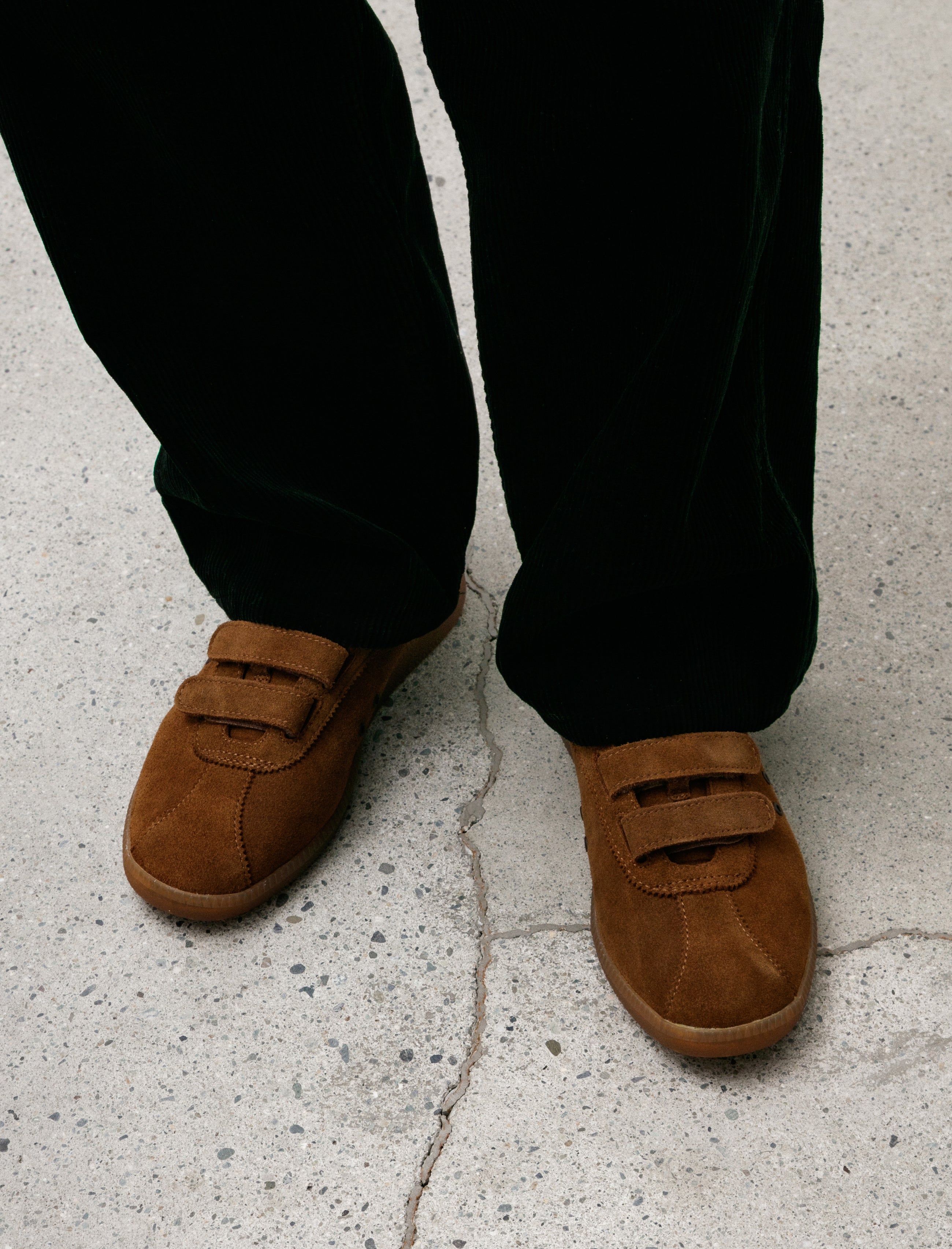 Hender Scheme Tim Camel – Neighbour